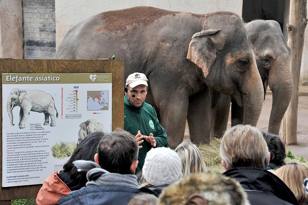 Bioparco, Rome - Italy